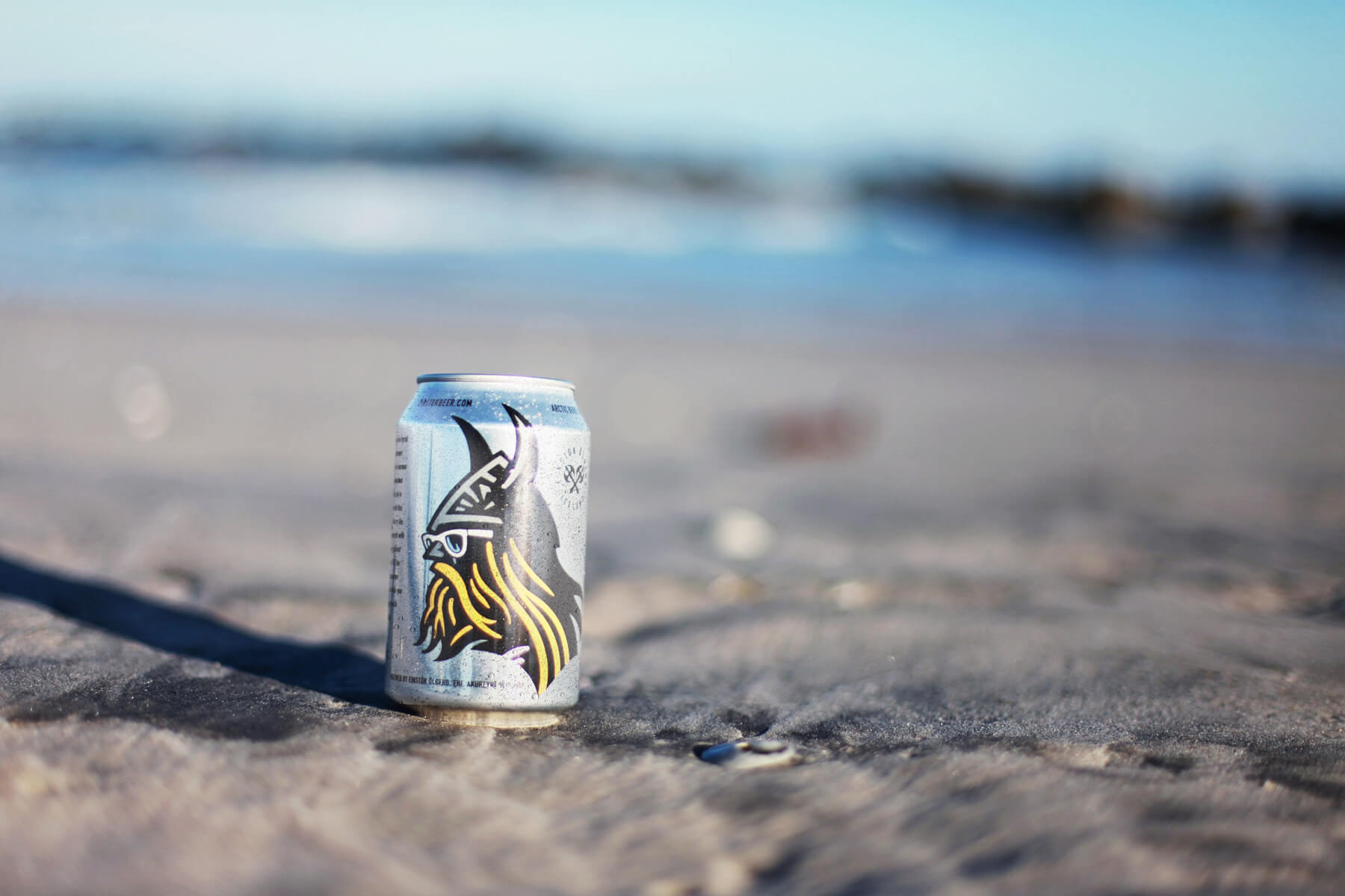 Arctic Berry Ale - Einstök Beer